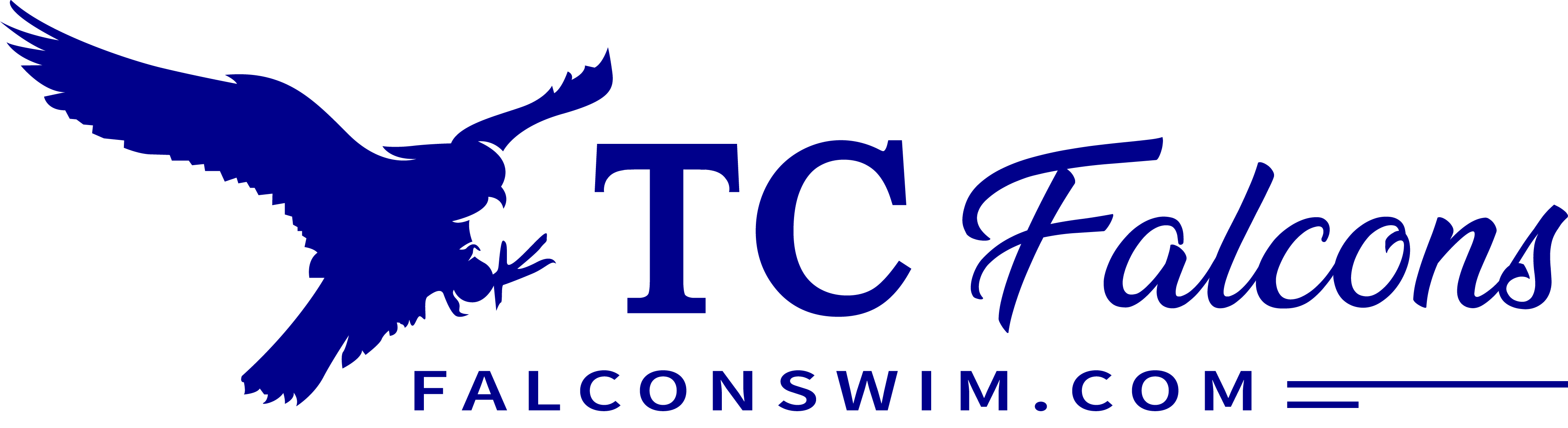 Falcon Masters Swim Club | U.S. Masters Swimming