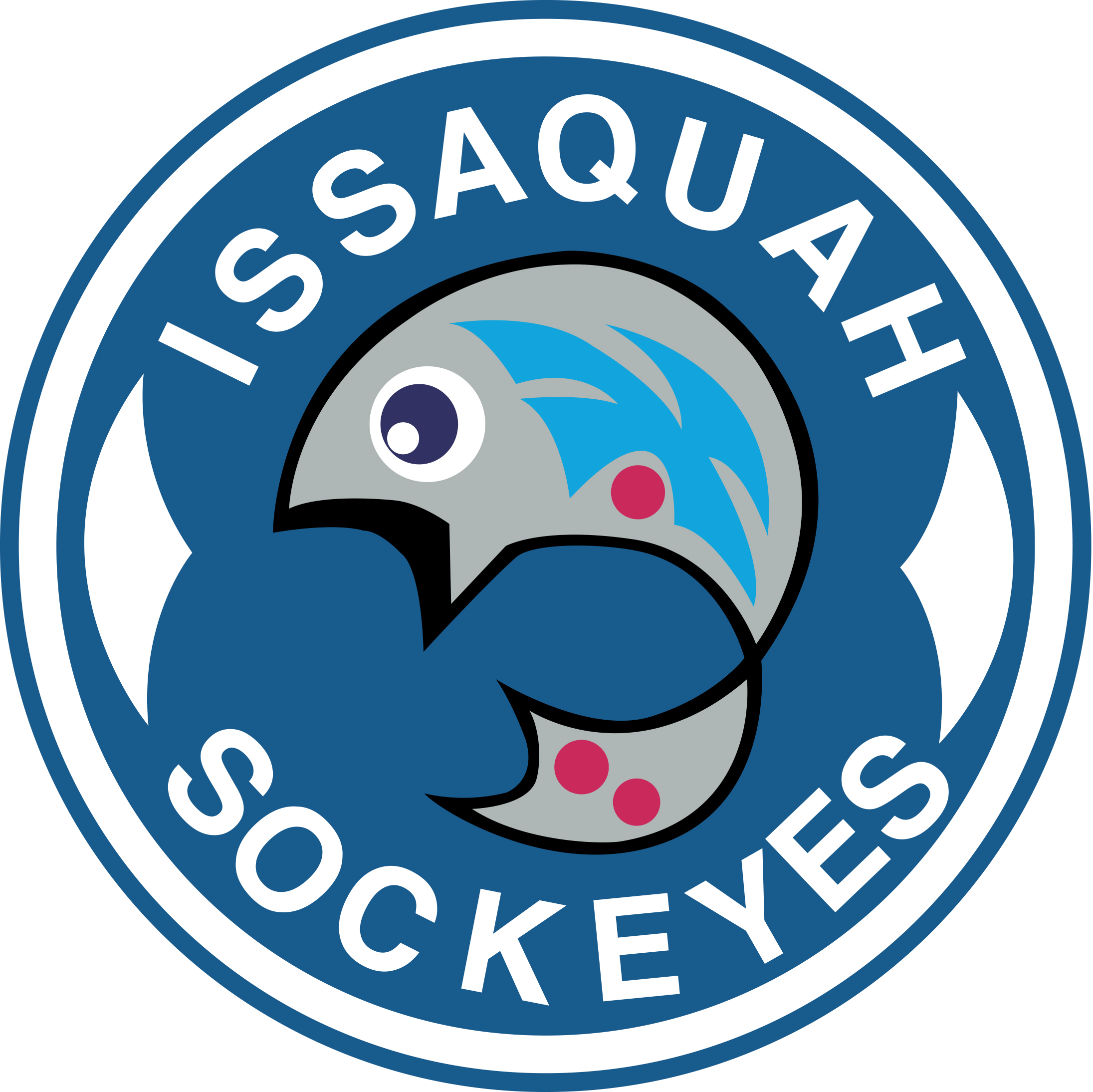 Issaquah Masters Swim Team | U.S. Masters Swimming
